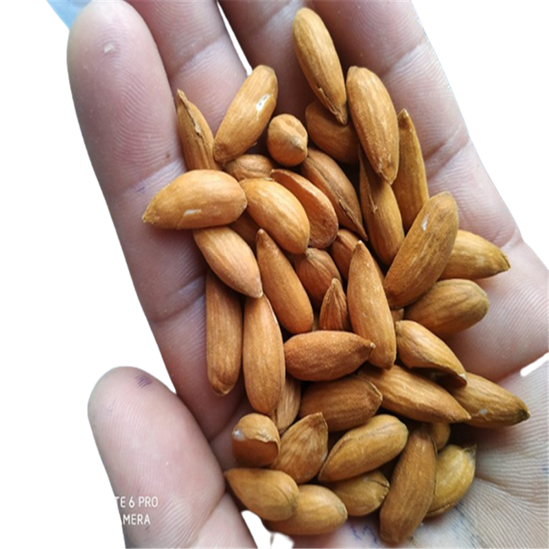 Unir Global Traders in Gwalior India | Unir Global Traders